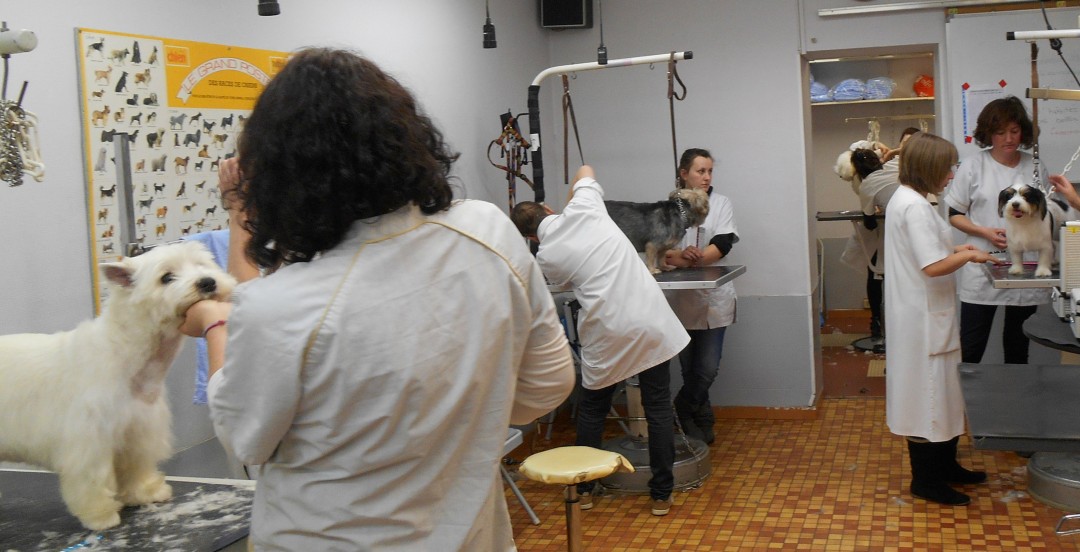 CFNT - NANTES | CFNT